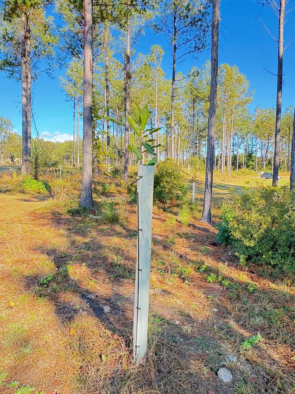 Tree Pro Tree Protector 60" Height – White Oak Orchard